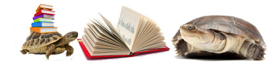 Livres sur les tortues de terre et aquatique sur graines-de-tortue.com